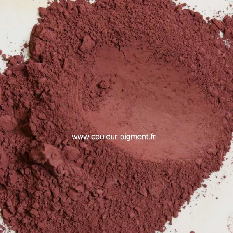 pigment prune - couleur pigments